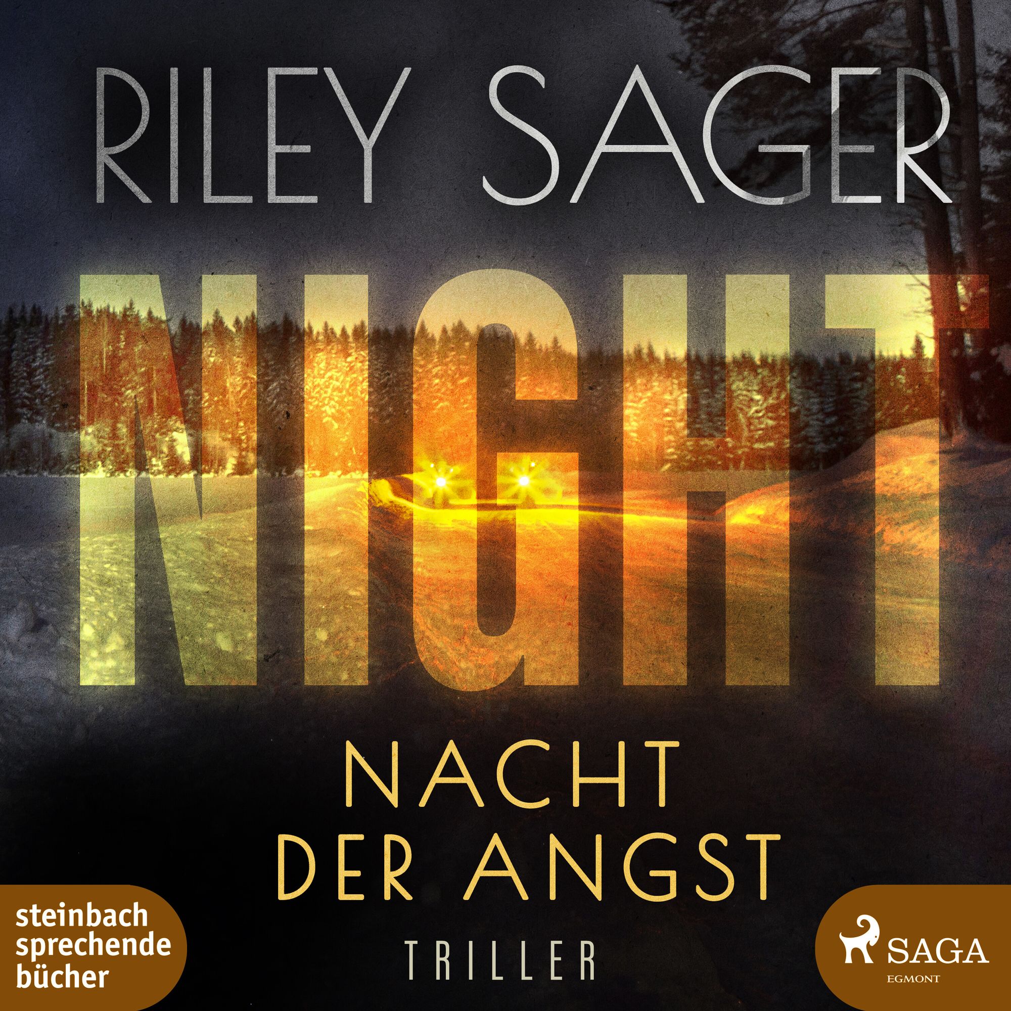 Night von Riley Sager - Hörbuch | Thalia