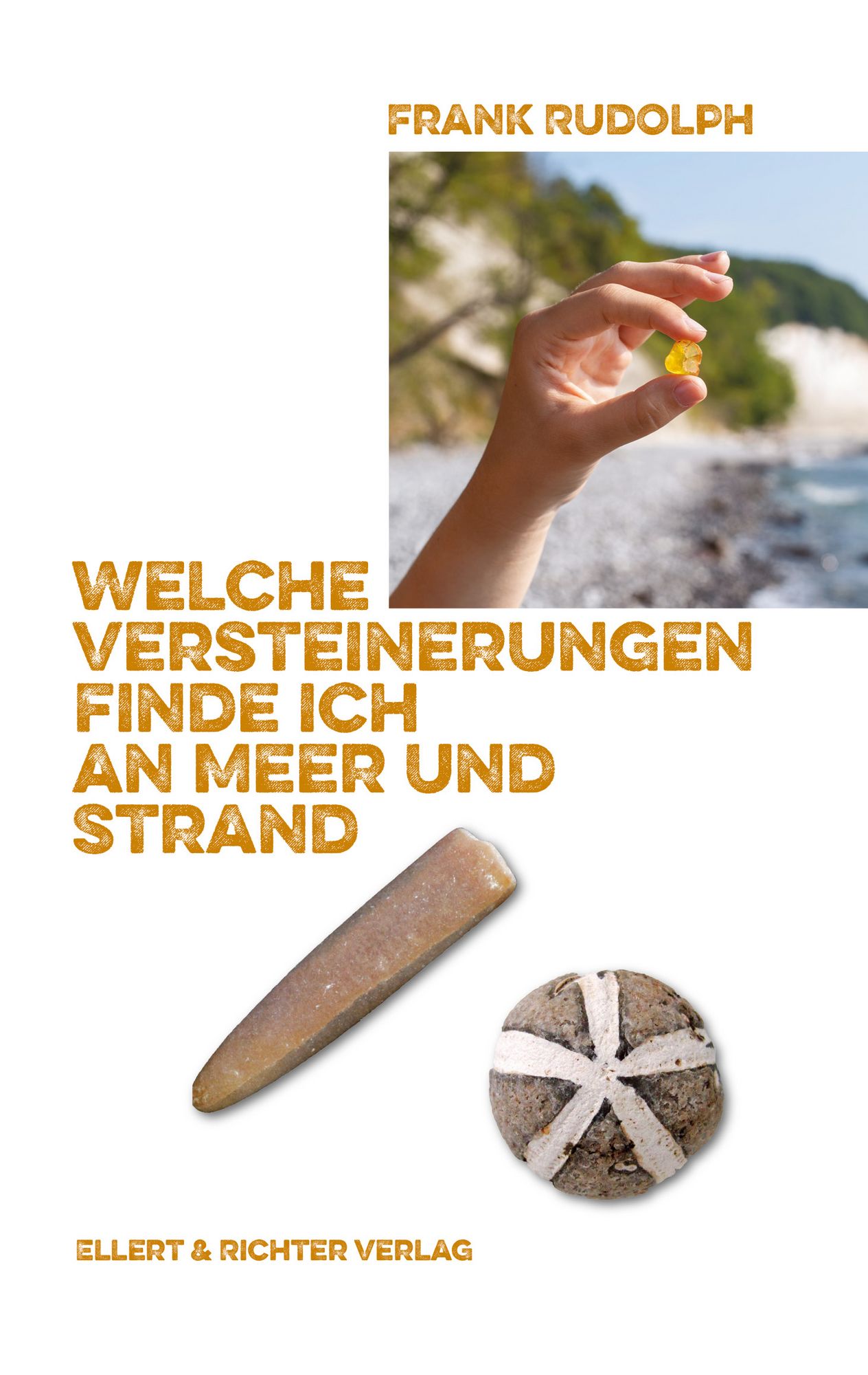 'Welche Versteinerungen finde ich an Meer und Strand' von 'Frank ...