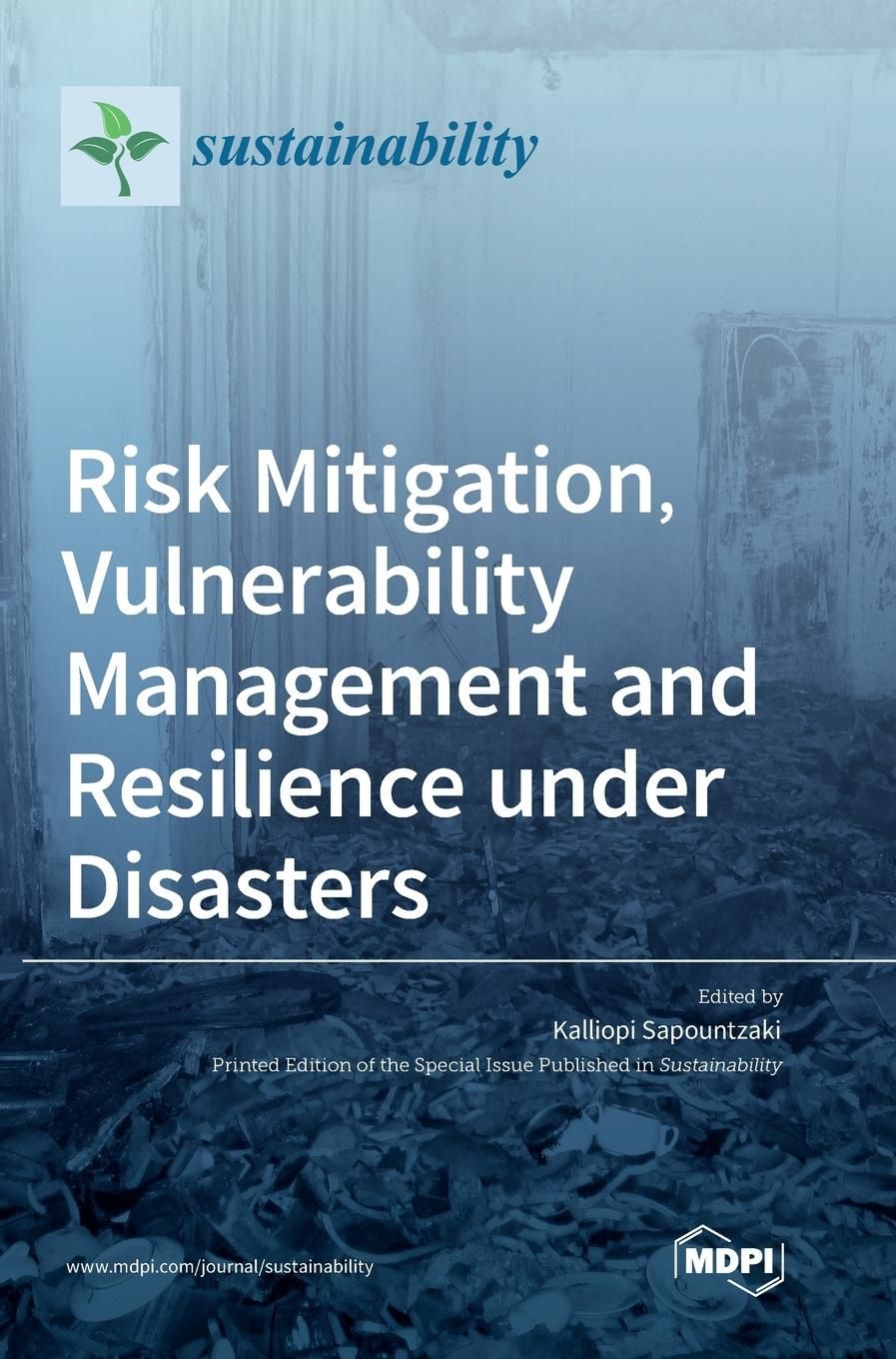 'Risk Mitigation, Vulnerability Management and Resilience under Disasters' von '' - 'Gebundene ...