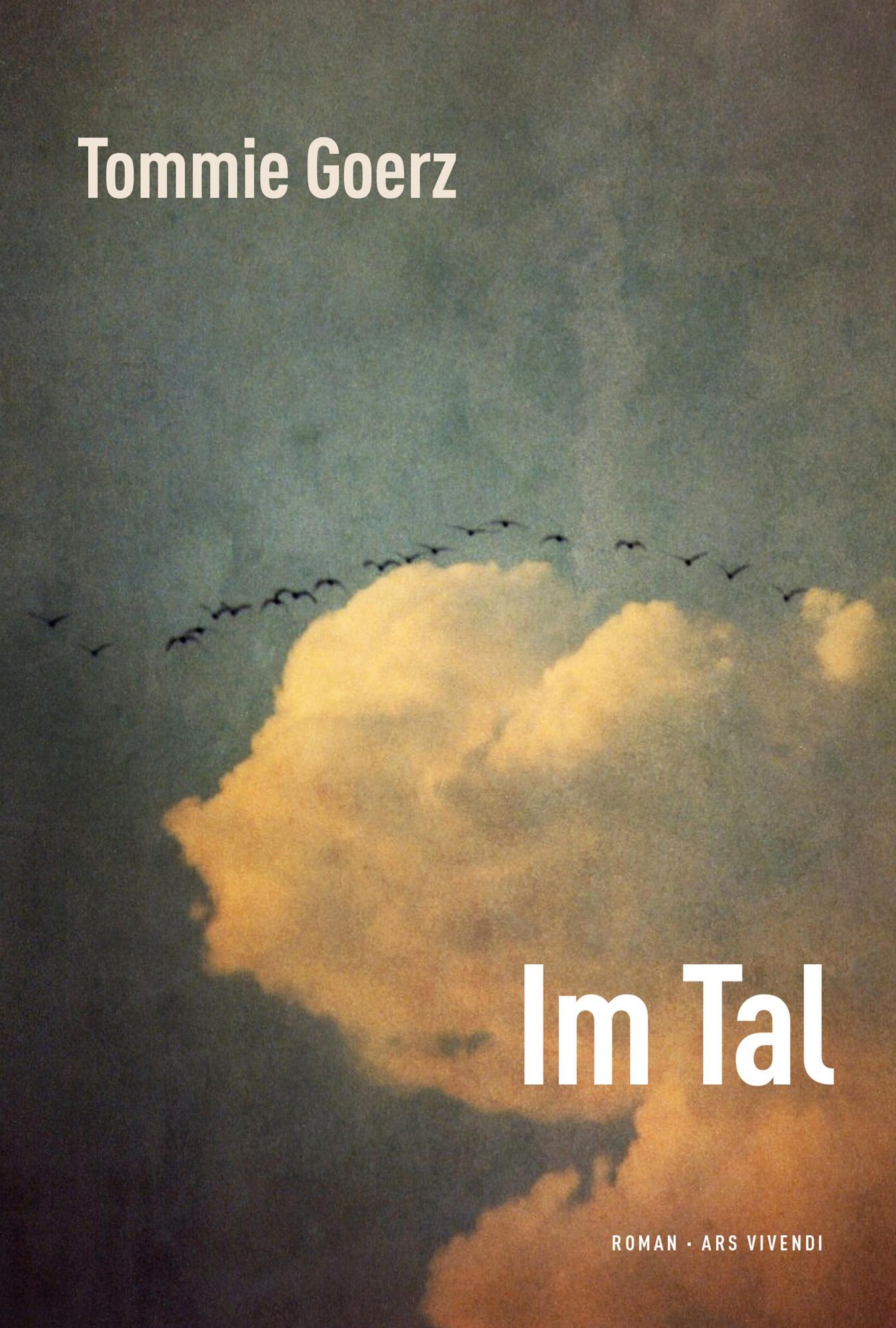 'Im Tal (eBook)' von 'Tommie Goerz' - eBook