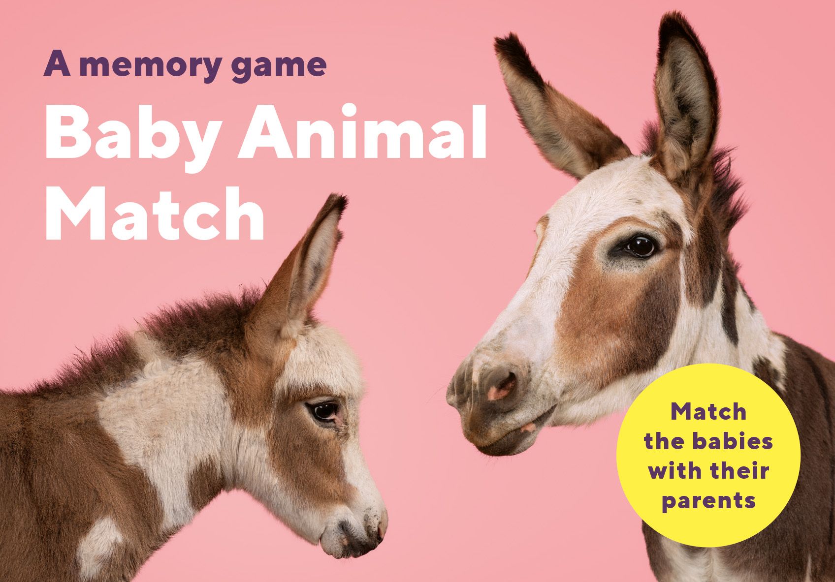 'Baby Animal Match' kaufen - Spielwaren