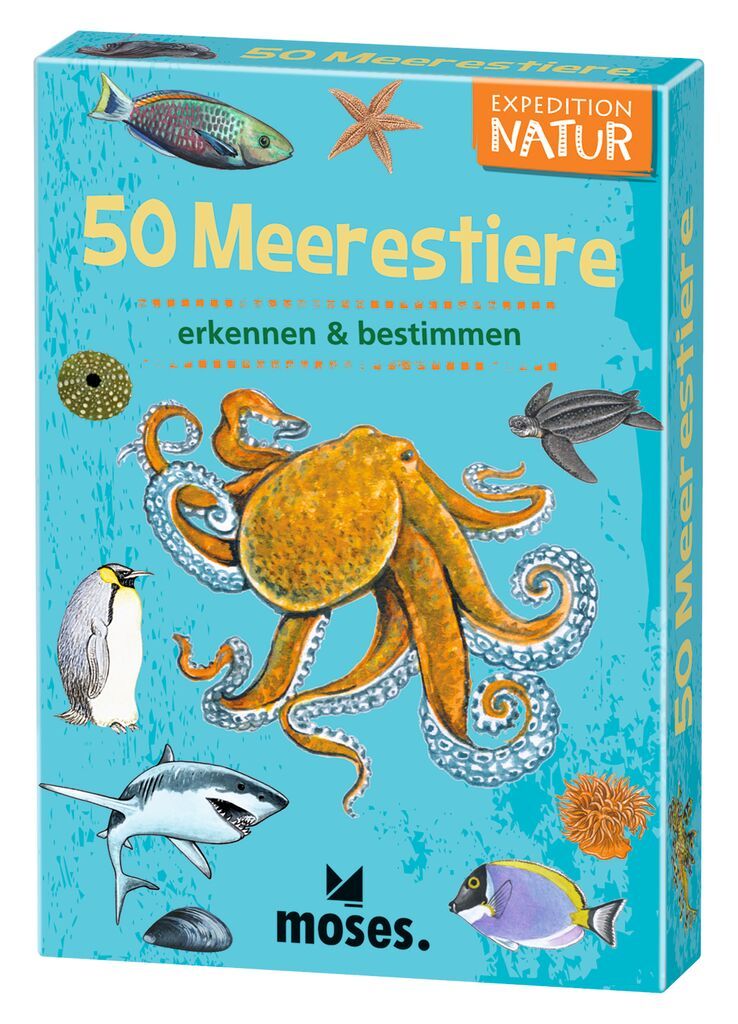 Riesige Meerestiere Sprudelnde Überraschung Meerestiere (versch.