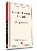 cingeneler-taschenbuch-osman-cemal-kaygili-tuerkisch.jpeg
