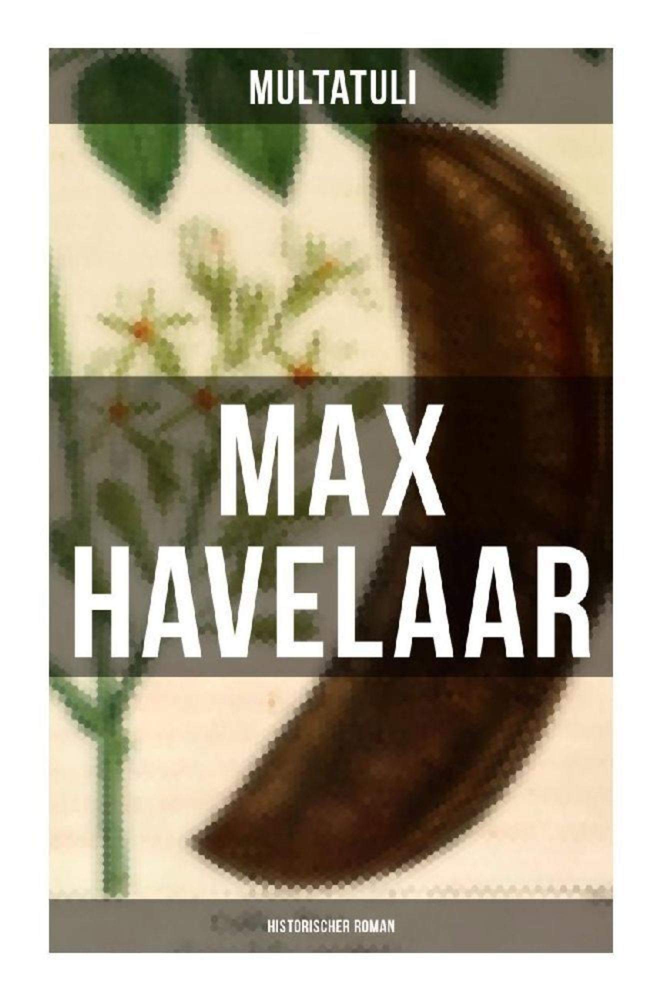 "Max Havelaar (Historischer Roman)" online kaufen