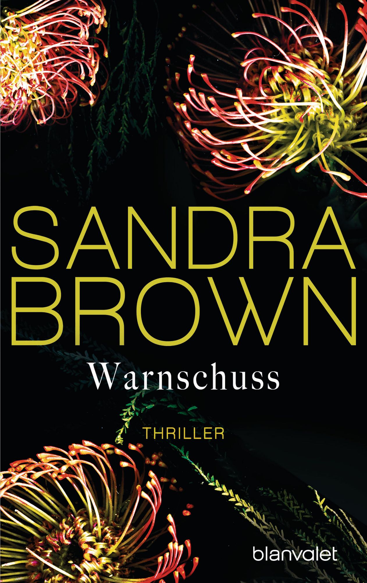 'Warnschuss' von 'Sandra Brown' - Buch - '978-3-7341-0609-5'