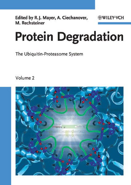 'Protein Degradation Series / Protein Degradation' von 'R. J. Mayer' - 'Gebundene Ausgabe ...