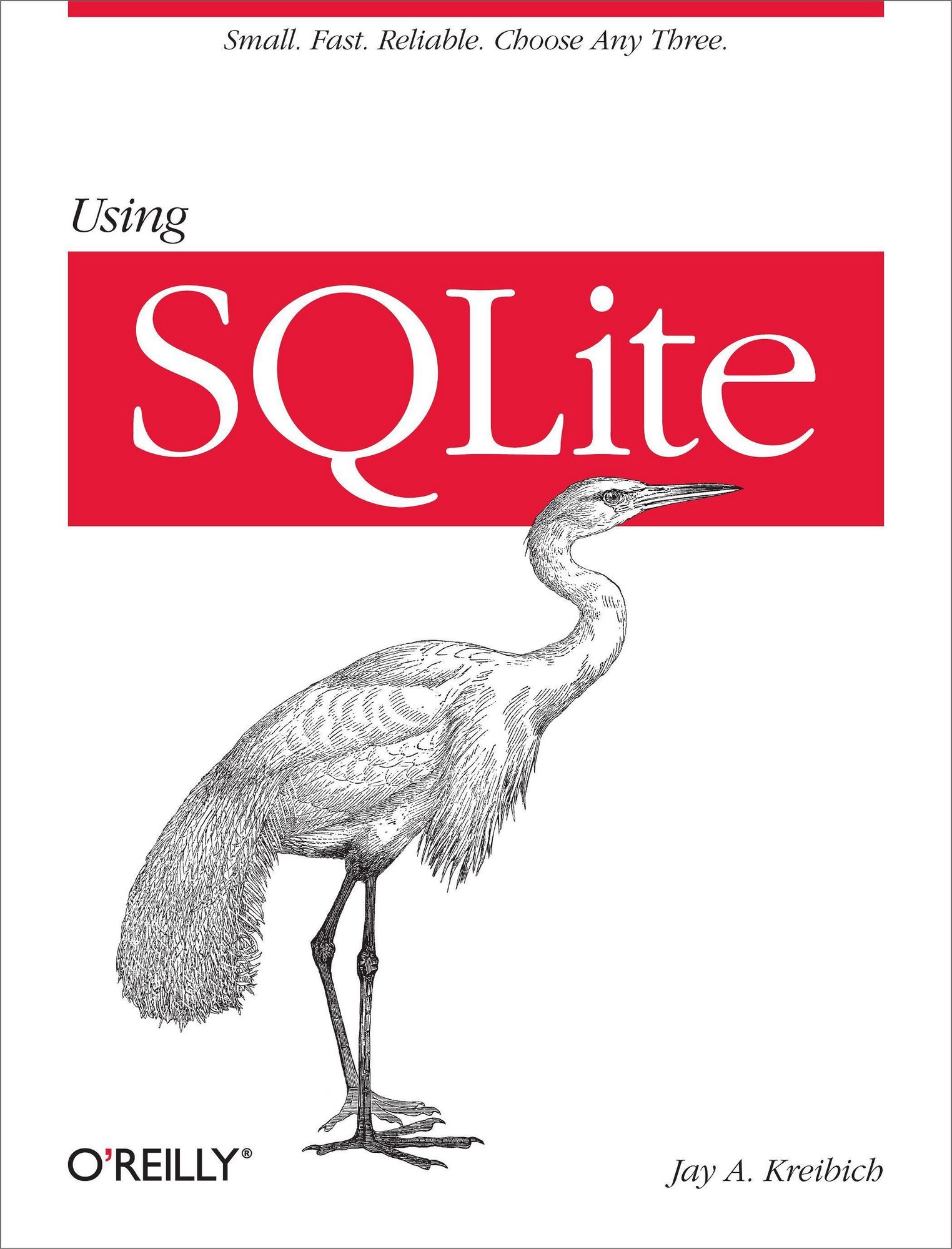 'Using SQLite' von 'Jay A. Kreibich' - 'Taschenbuch' - '978-0-596-52118-9'