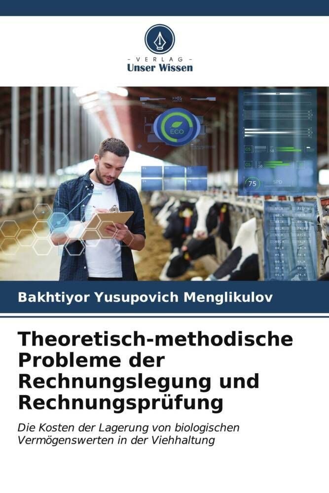 'Theoretisch-methodische Probleme der Rechnungslegung und ...