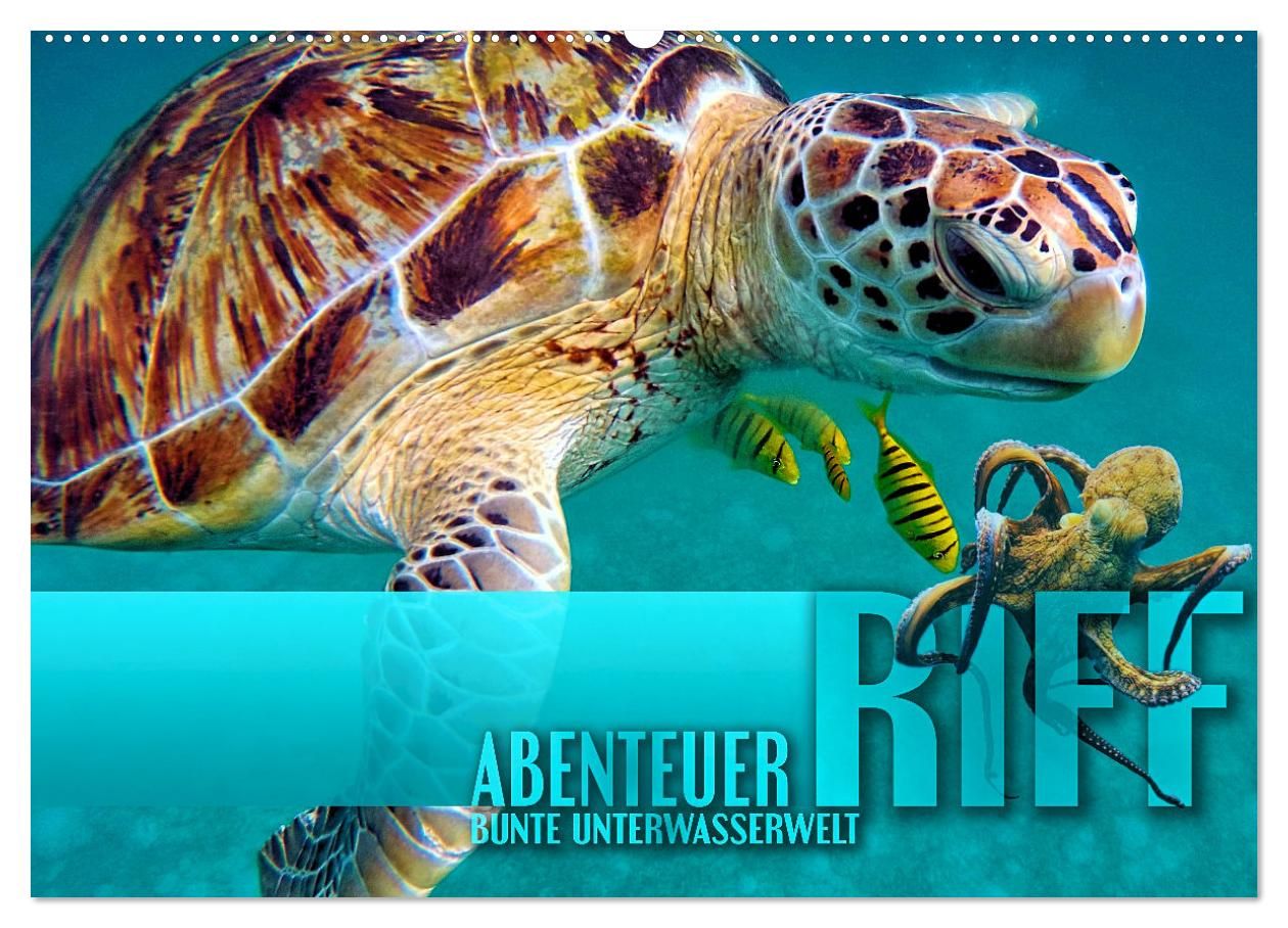 Abenteuer Riff - bunte Unterwasserwelt (Wandkalender 2025 DIN A2 quer ...