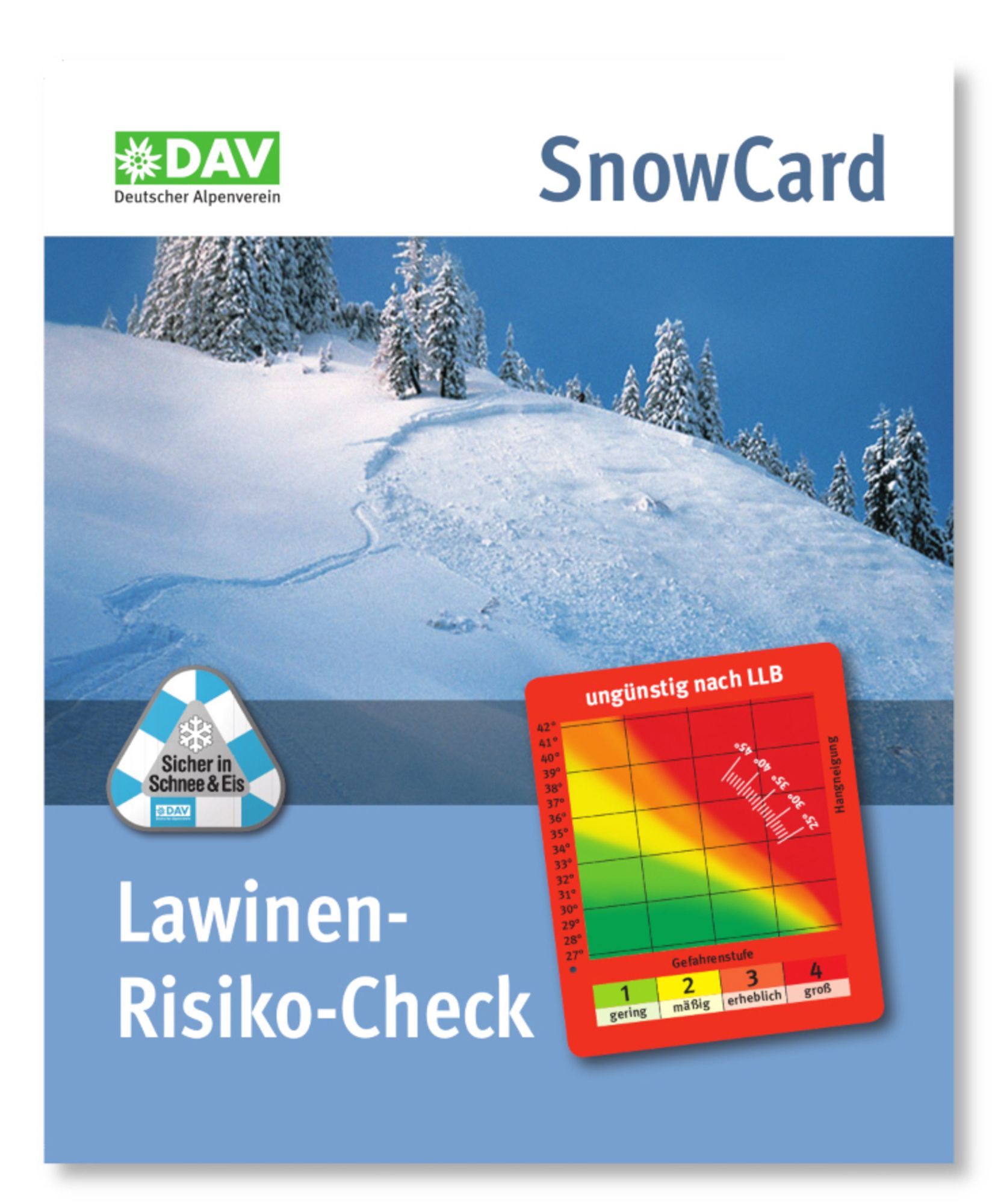 "SnowCard" online kaufen