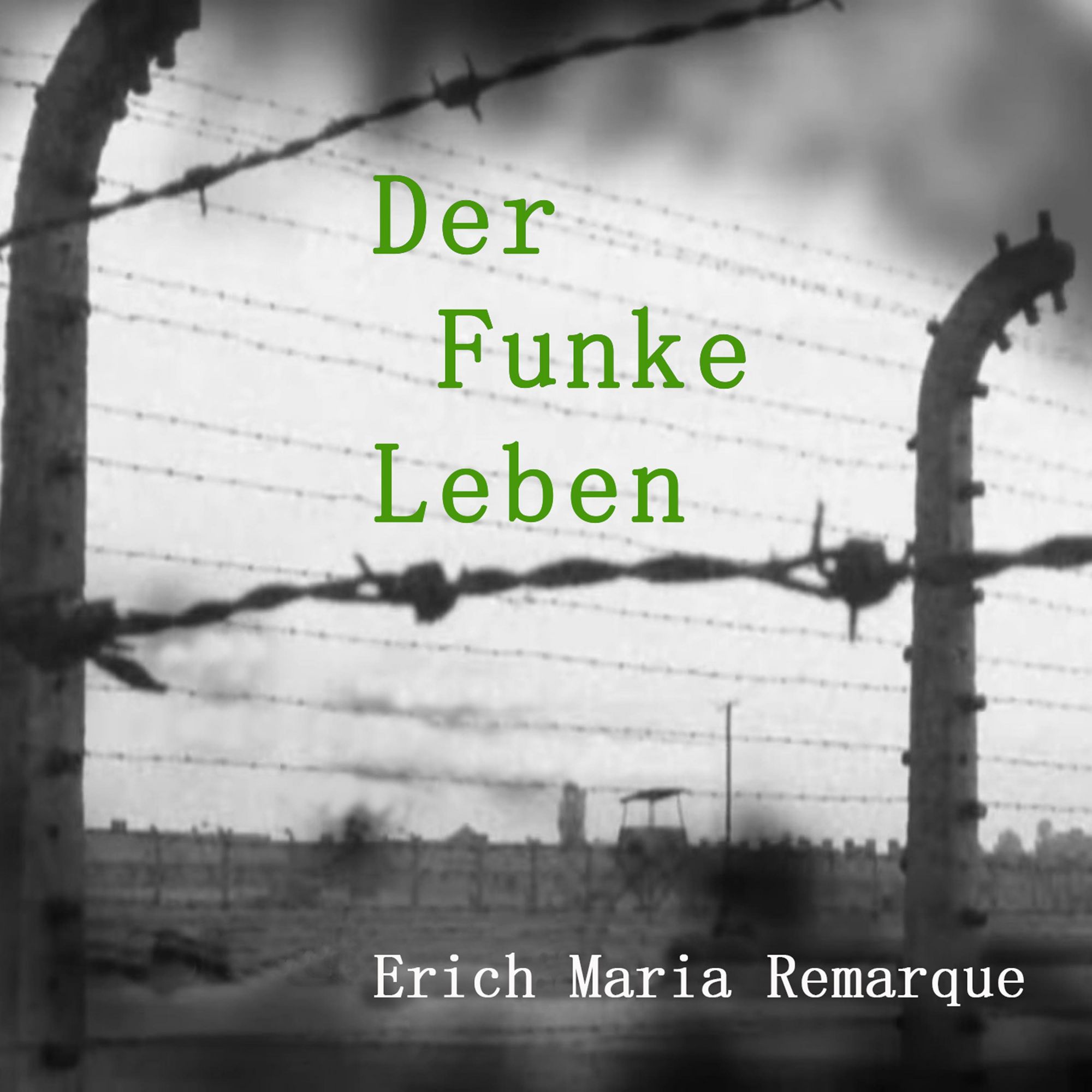 'Der Funke Leben' von 'Erich Maria Remarque' - Hörbuch