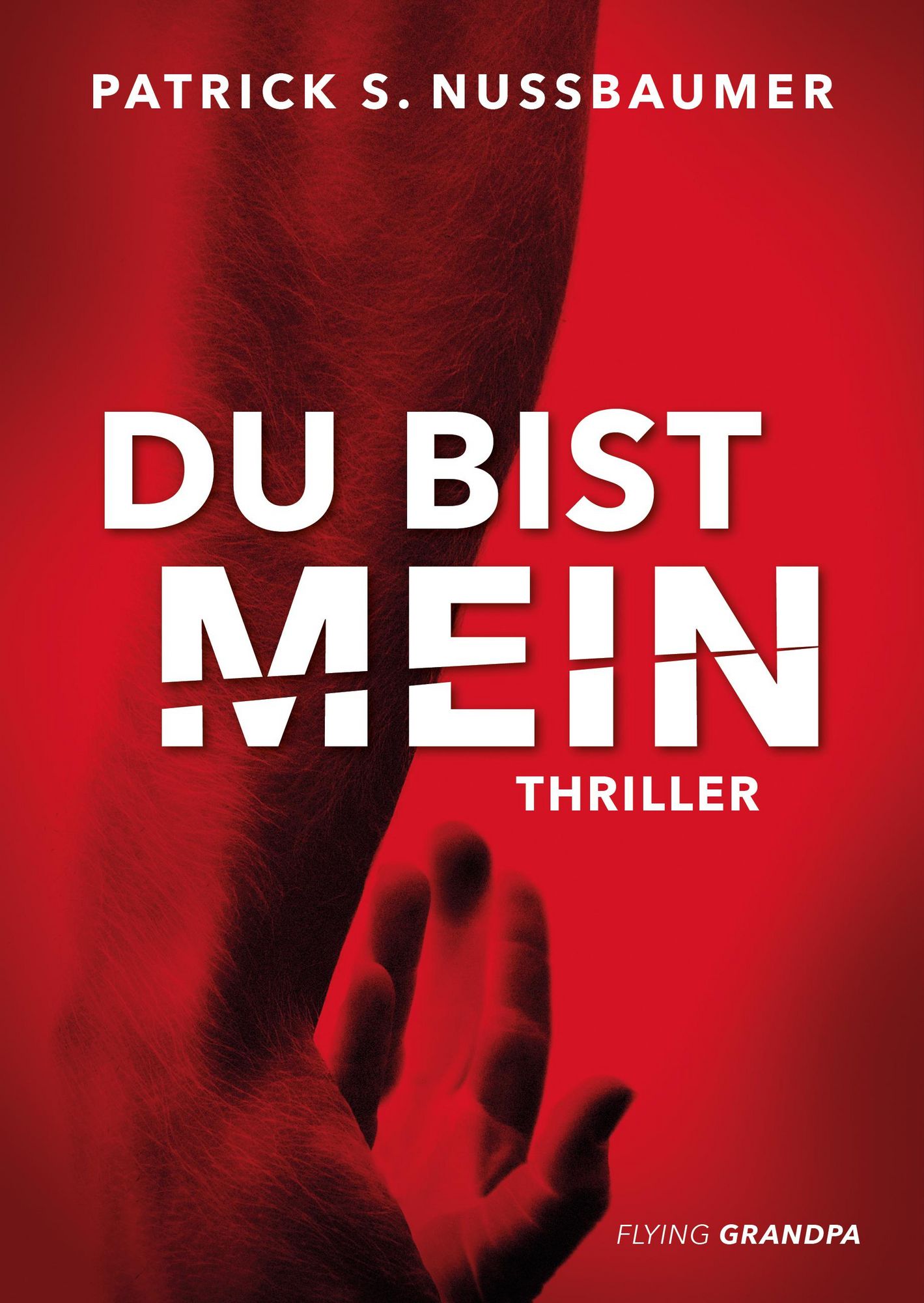 'Du bist mein' von 'Patrick S. Nussbaumer' - eBook