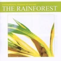 'Rainforest' von '' auf 'CD' - Musik