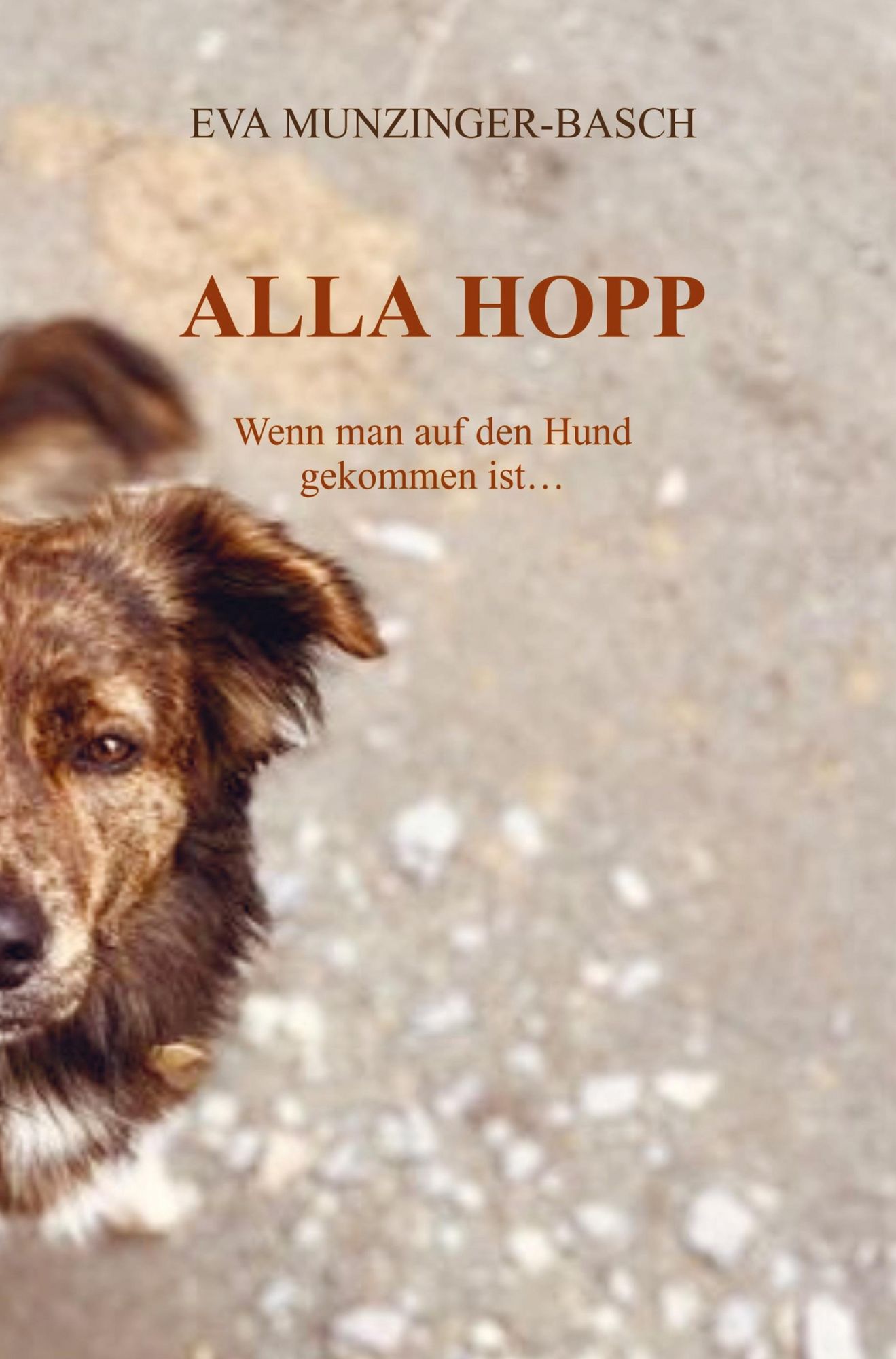 'Alla Hopp' von 'Eva Munzinger-Basch' - Buch - '978-94-036-4951-1'