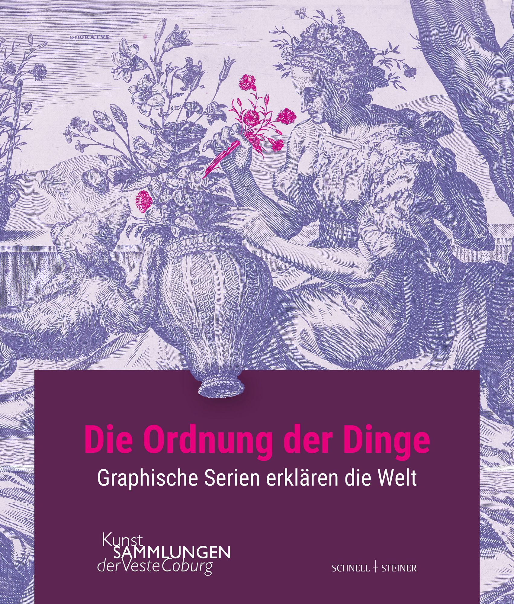 'Die Ordnung der Dinge' von '' - Buch - '978-3-7954-3790-9'