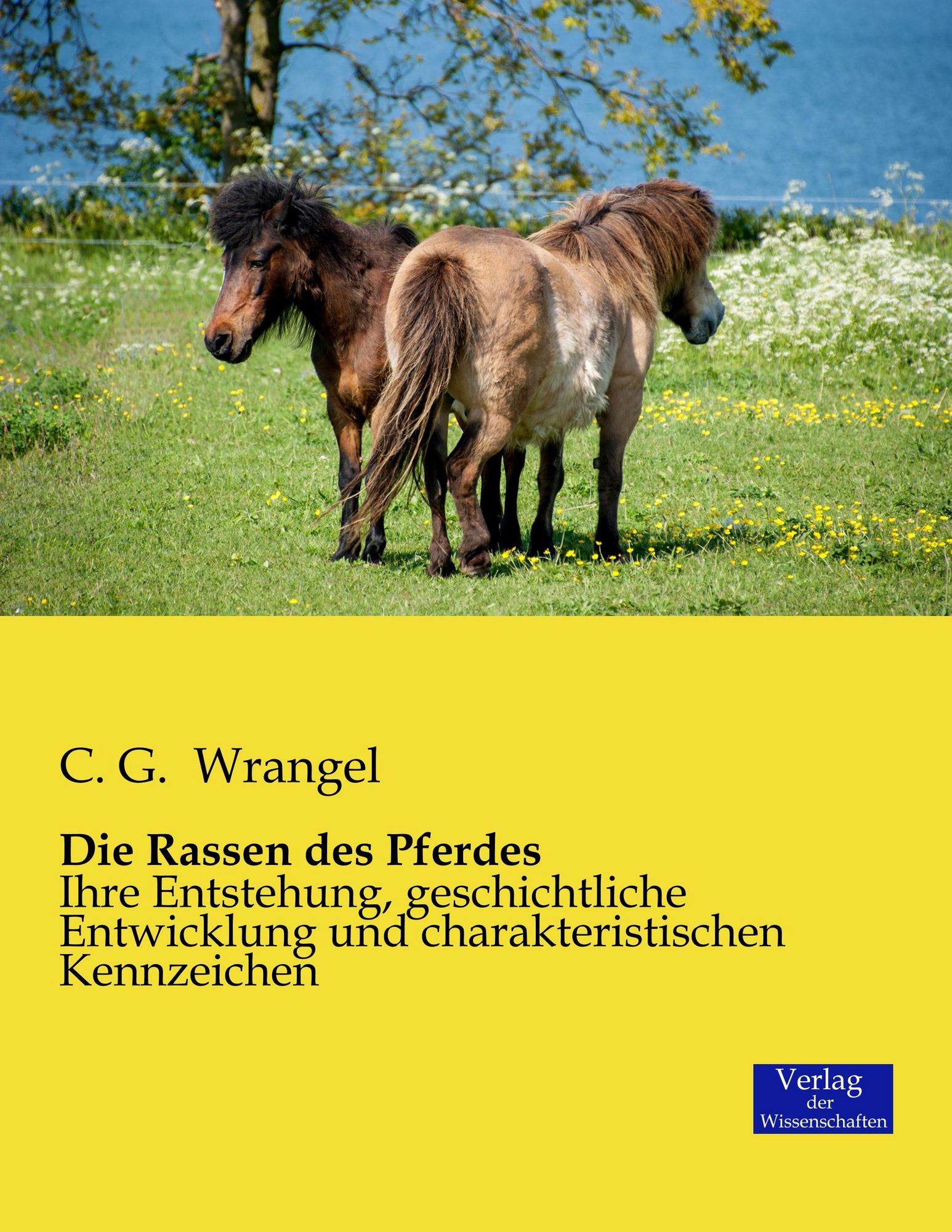 Entwicklung Des Pferdes Transparentsatz Die Evolution Des Pferdes