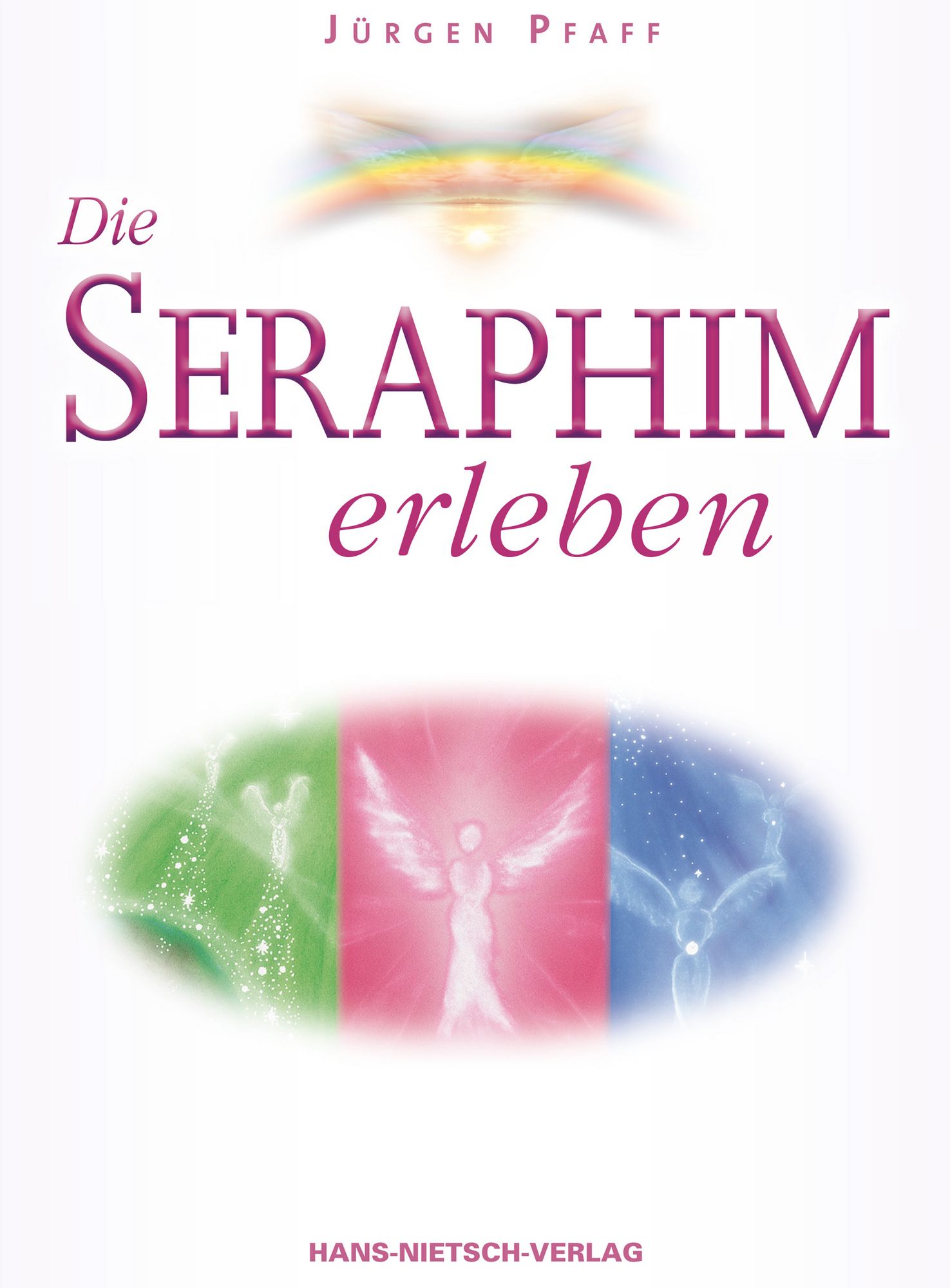 'Die Seraphim erleben' von 'Jürgen Pfaff' - Buch - '978-3-86264-001-0'