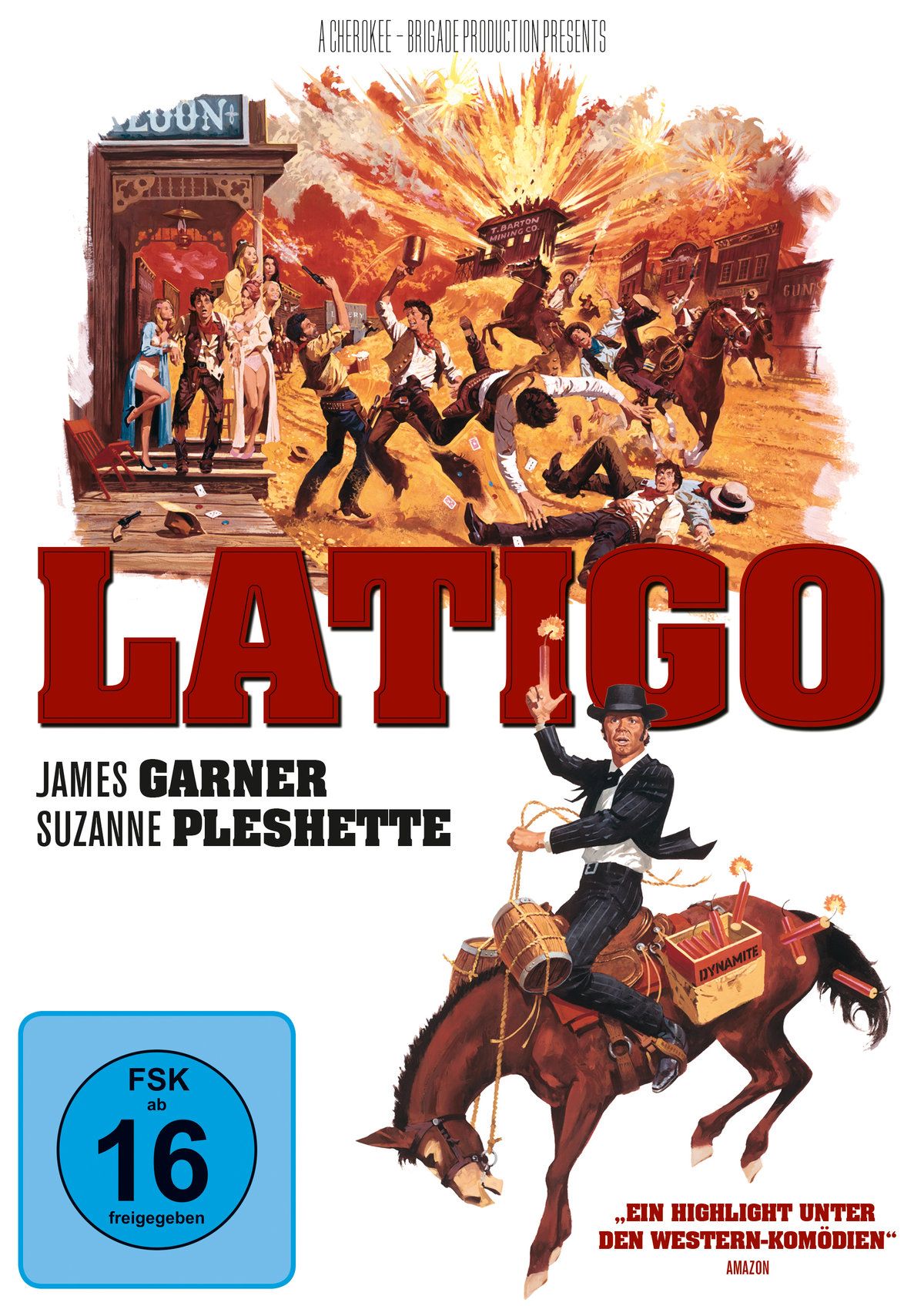 Cartel De La Película Látigo