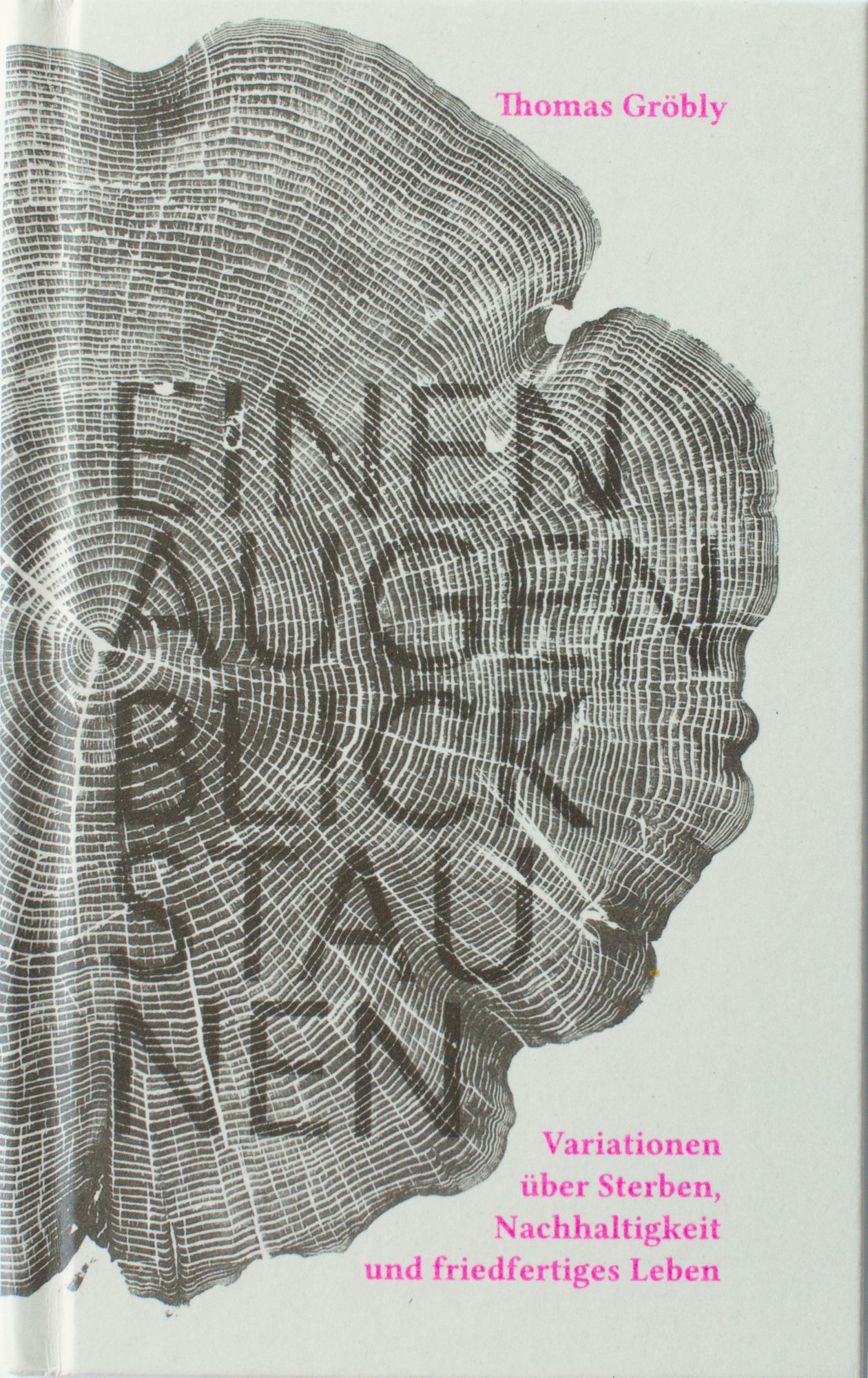 'Einen Augenblick staunen' von 'Thomas Gröbly' - Buch - '978-3-03881-009-4'