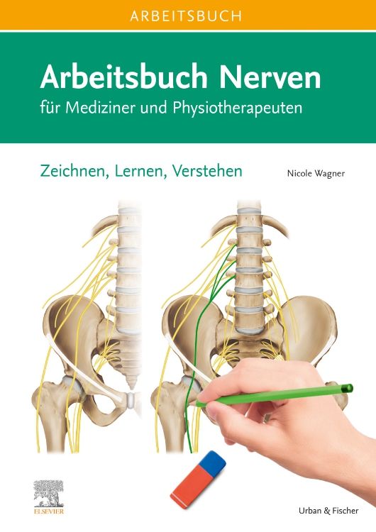 'Arbeitsbuch Nerven' von 'Nicole Wagner' - Buch - '978-3-437-44180-6'