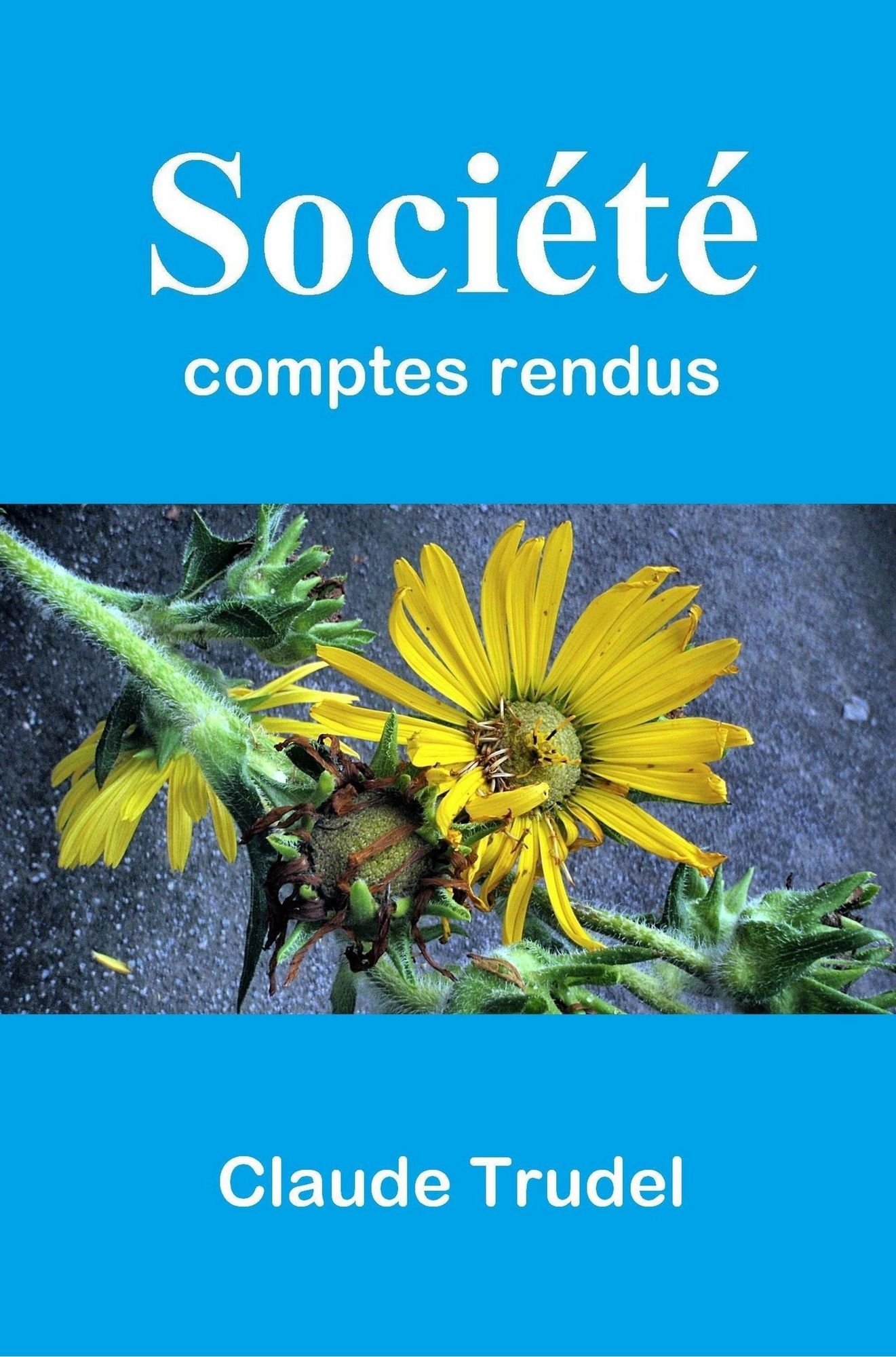 'Société' von 'Claude Trudel' - eBook