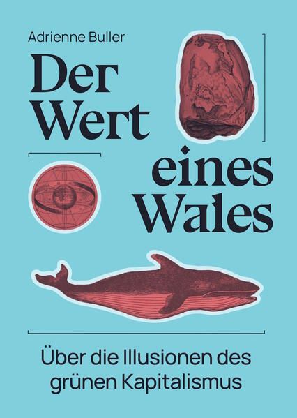 'Der Wert eines Wales' von 'Buller Adrienne' - Buch - '978-3-910500-03-7'