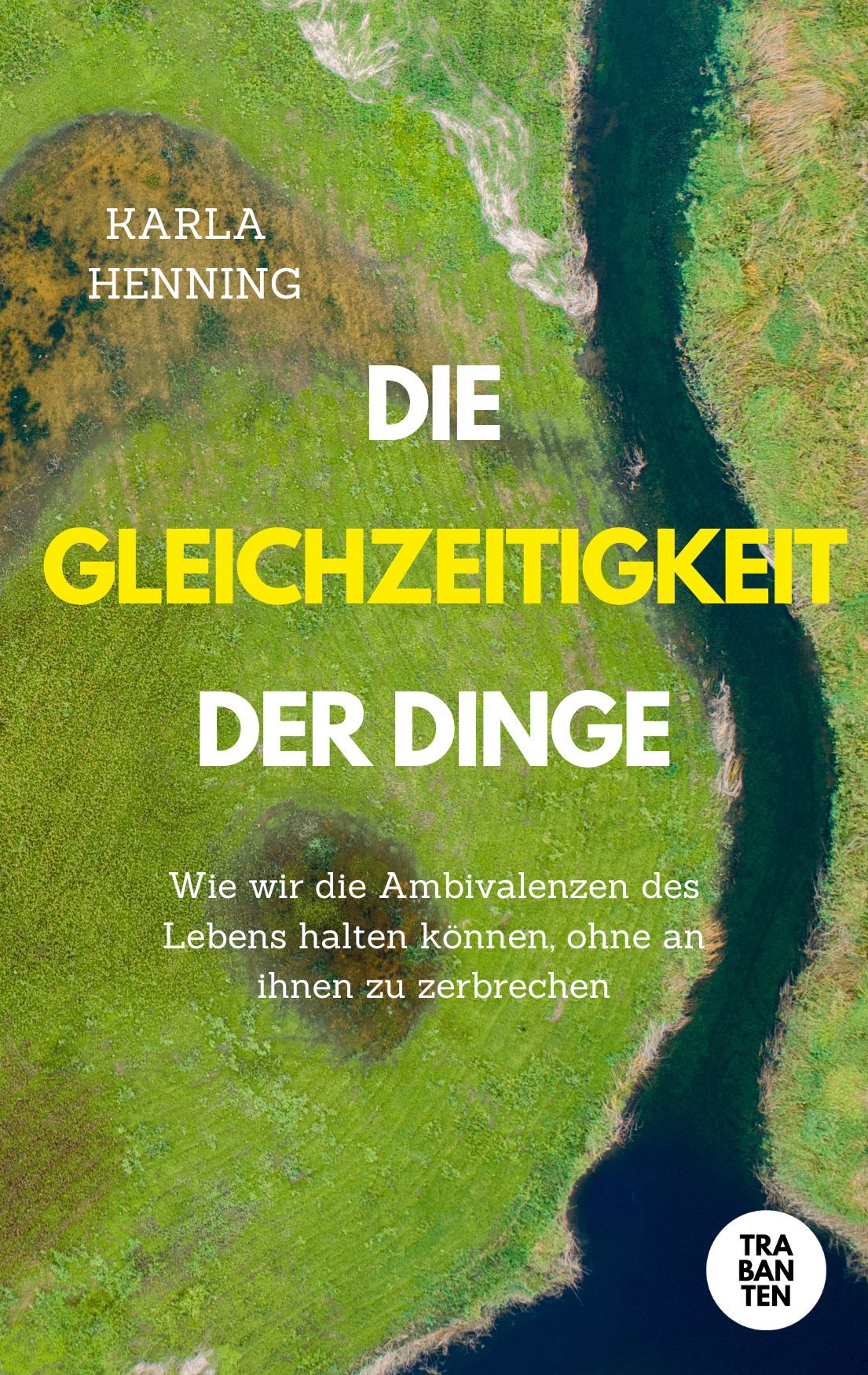 'Die Gleichzeitigkeit der Dinge' von 'Karla Henning' - Buch - '978-3 ...
