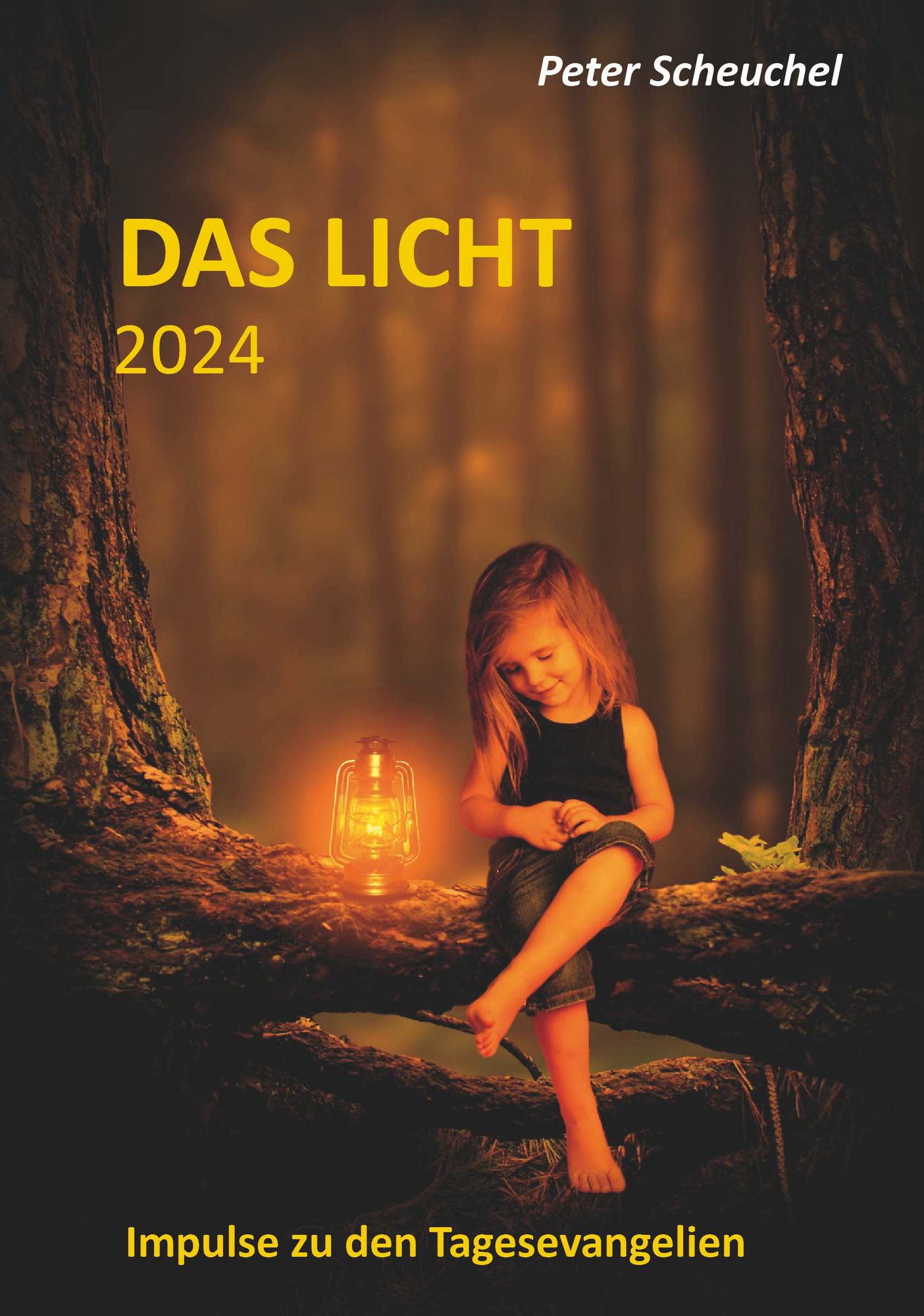 'Das Licht 2024' von 'Peter Scheuchel' - Buch - '978-3-99152-626-1'