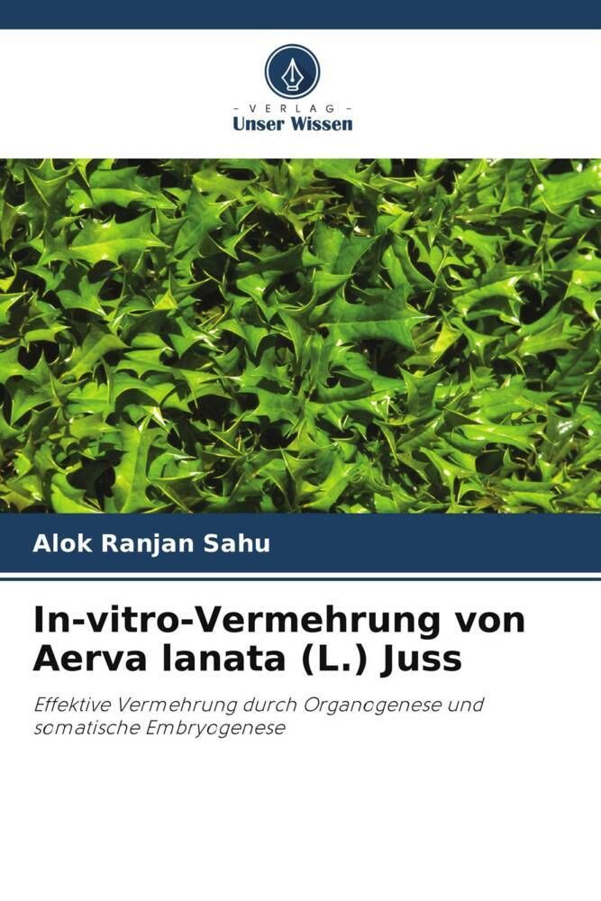 "In-vitro-Vermehrung von Aerva lanata (L.) Juss" online kaufen