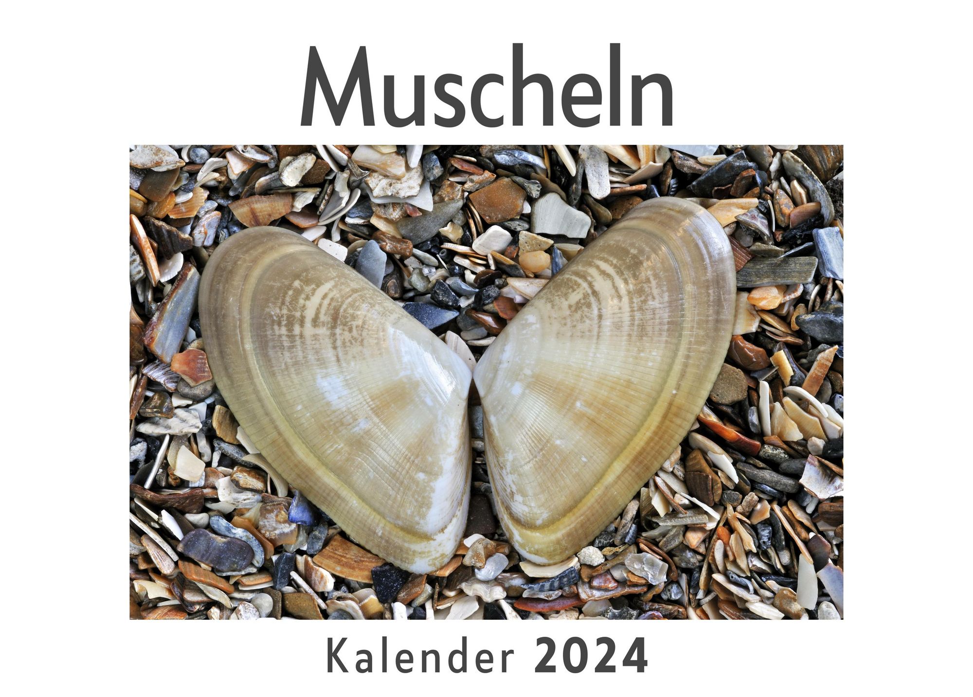 Muscheln (Wandkalender 2024, Kalender DIN A4 quer, Monatskalender im ...