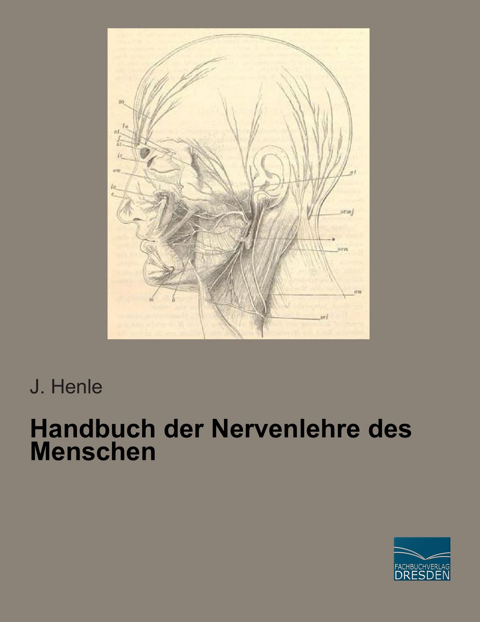 'Handbuch der Nervenlehre des Menschen' von 'J. Henle' - Buch - '978-3 ...