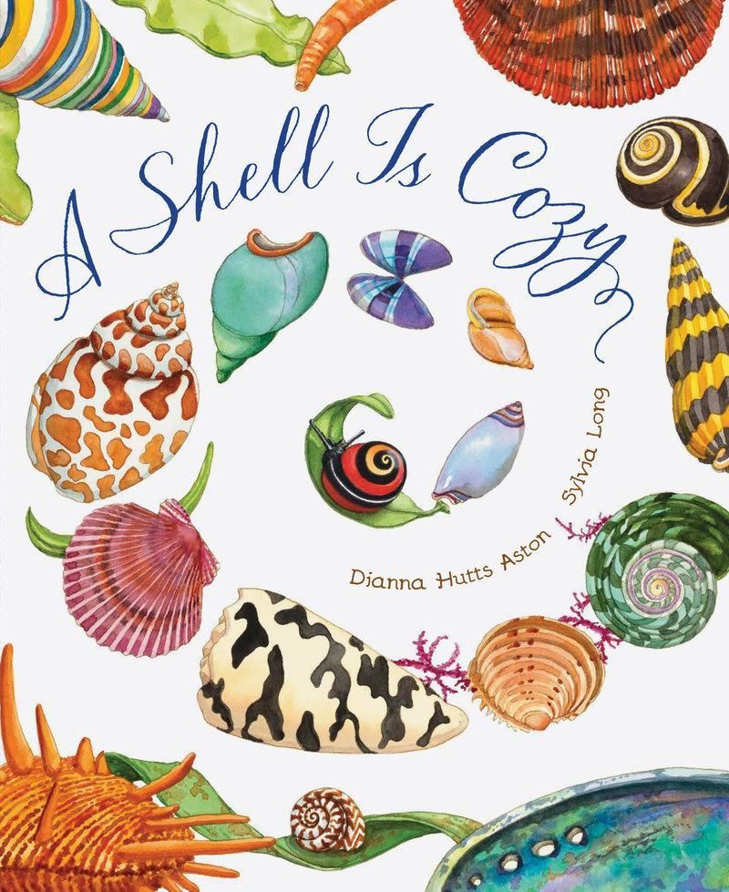 'A Shell Is Cozy' von 'Dianna Hutts Aston' - 'Gebundene Ausgabe' - '978 ...