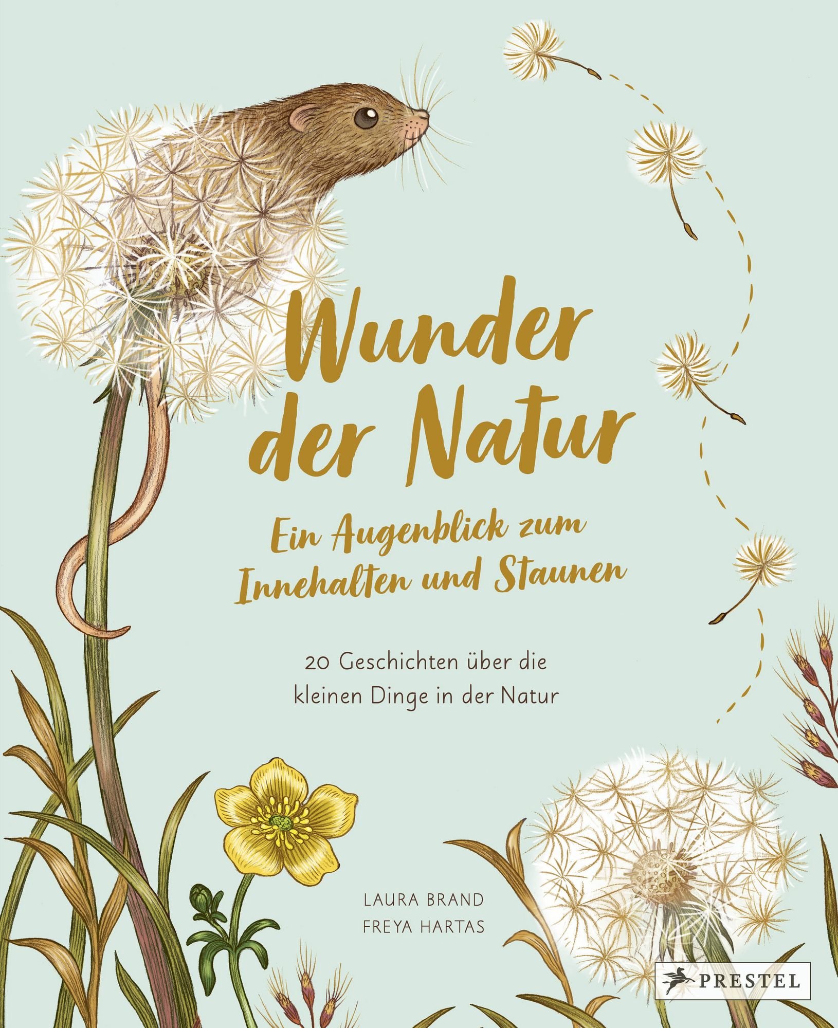 Wunder der Natur. Ein Augenblick zum Innehalten und Staunen von Laura ...