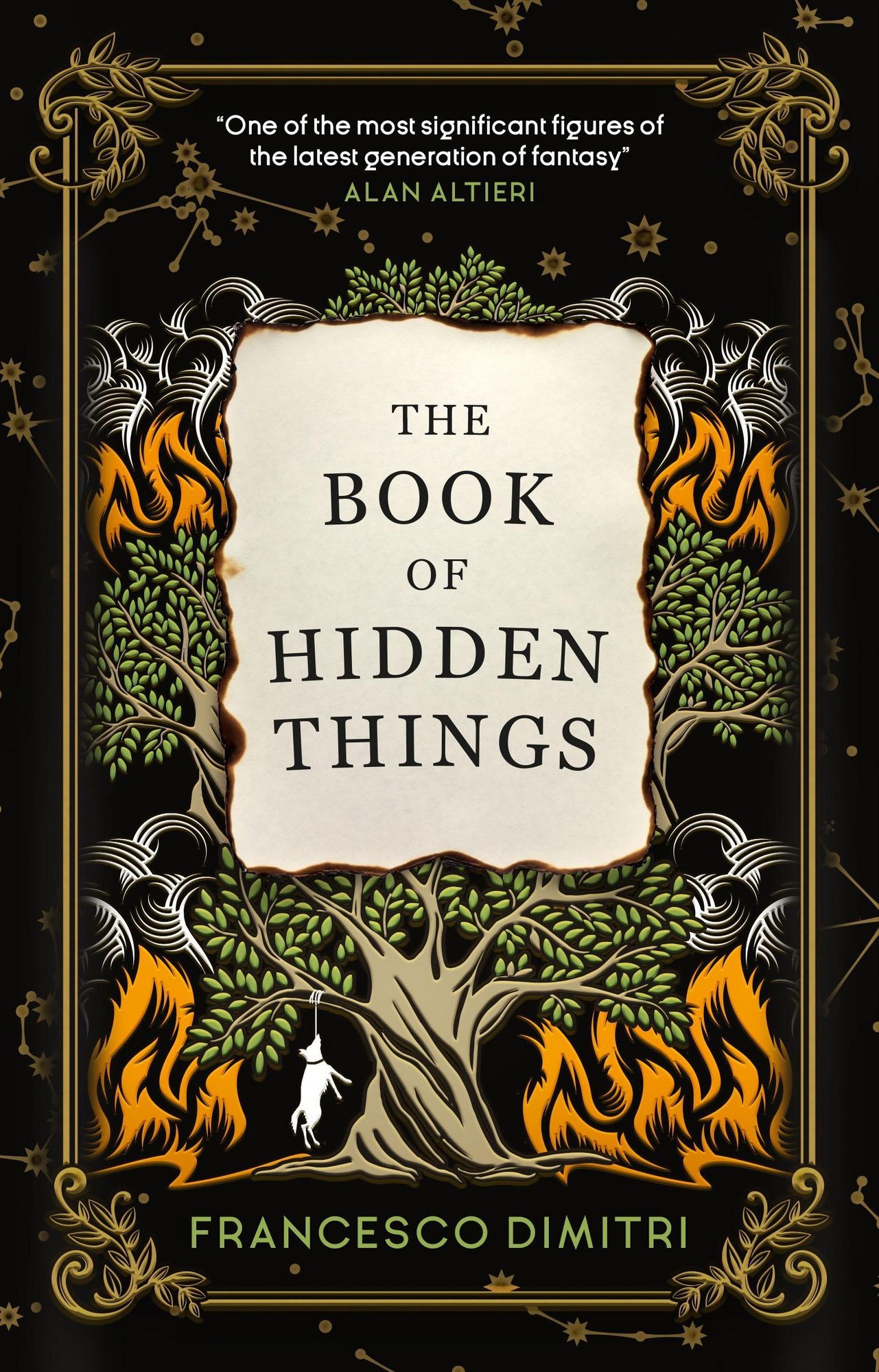 'The Book of Hidden Things' von 'Francesco Dimitri' - 'Taschenbuch ...