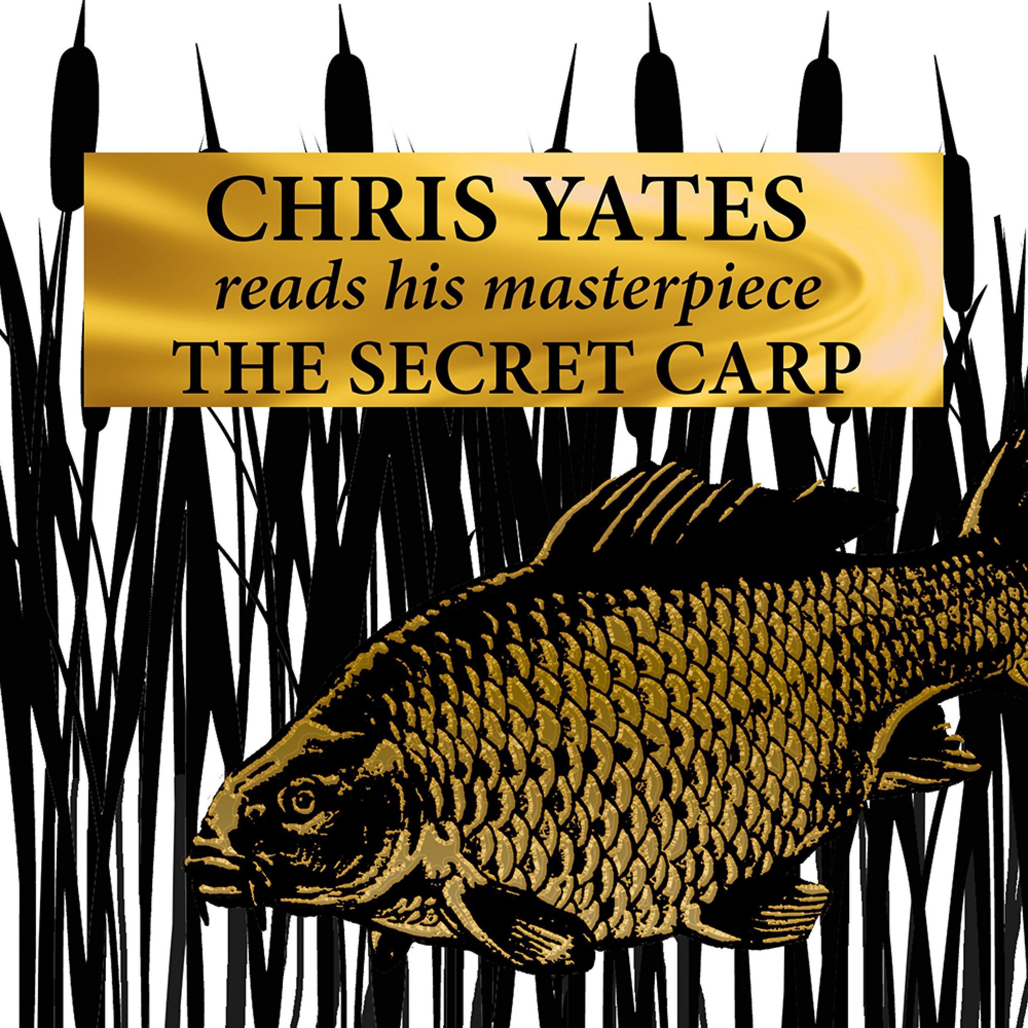 'The Secret Carp (audio)' von 'Chris Yates' - Hörbuch-Download