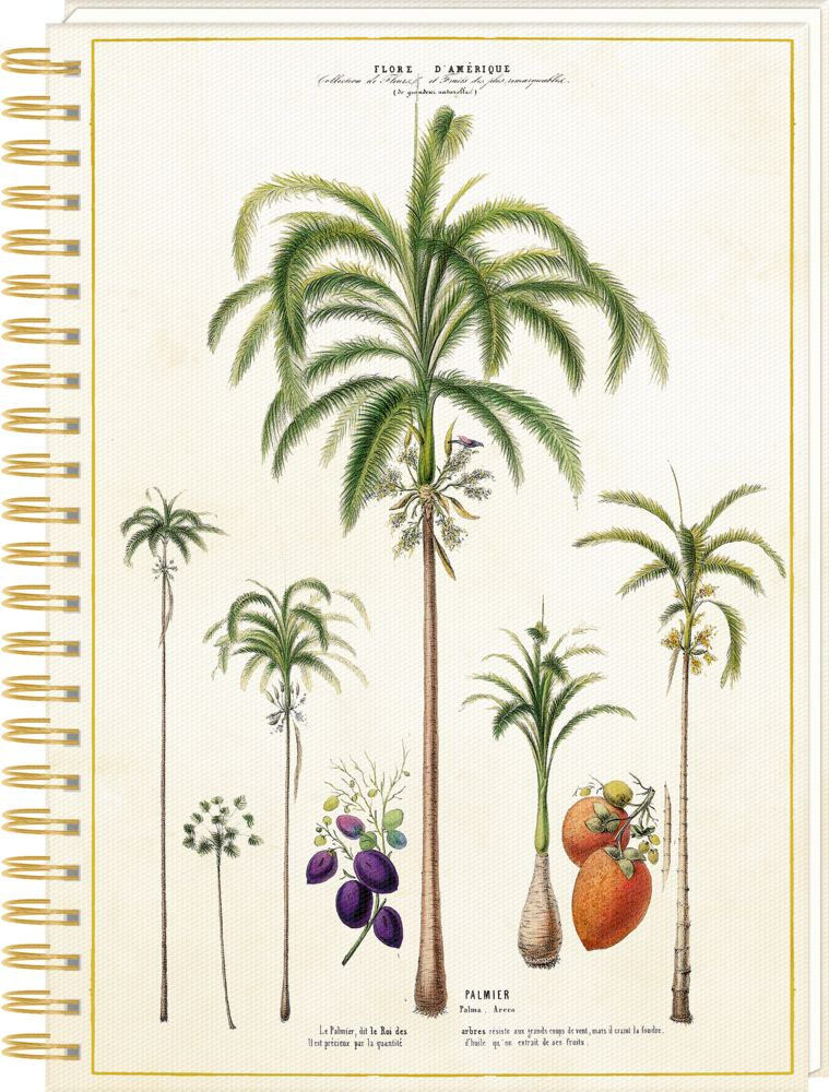 Ringbuch DIN A4 Notizen - Sammlung Augustina - Notizen - 4050003725819 ...