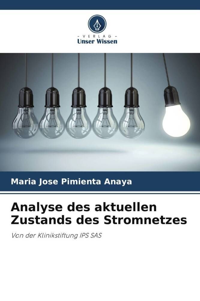 "Analyse des aktuellen Zustands des Stromnetzes" online kaufen
