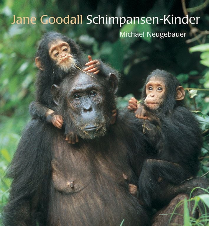 'Schimpansen-Kinder' von 'Jane Goodall' - Buch - '978-3-86566-200-2'
