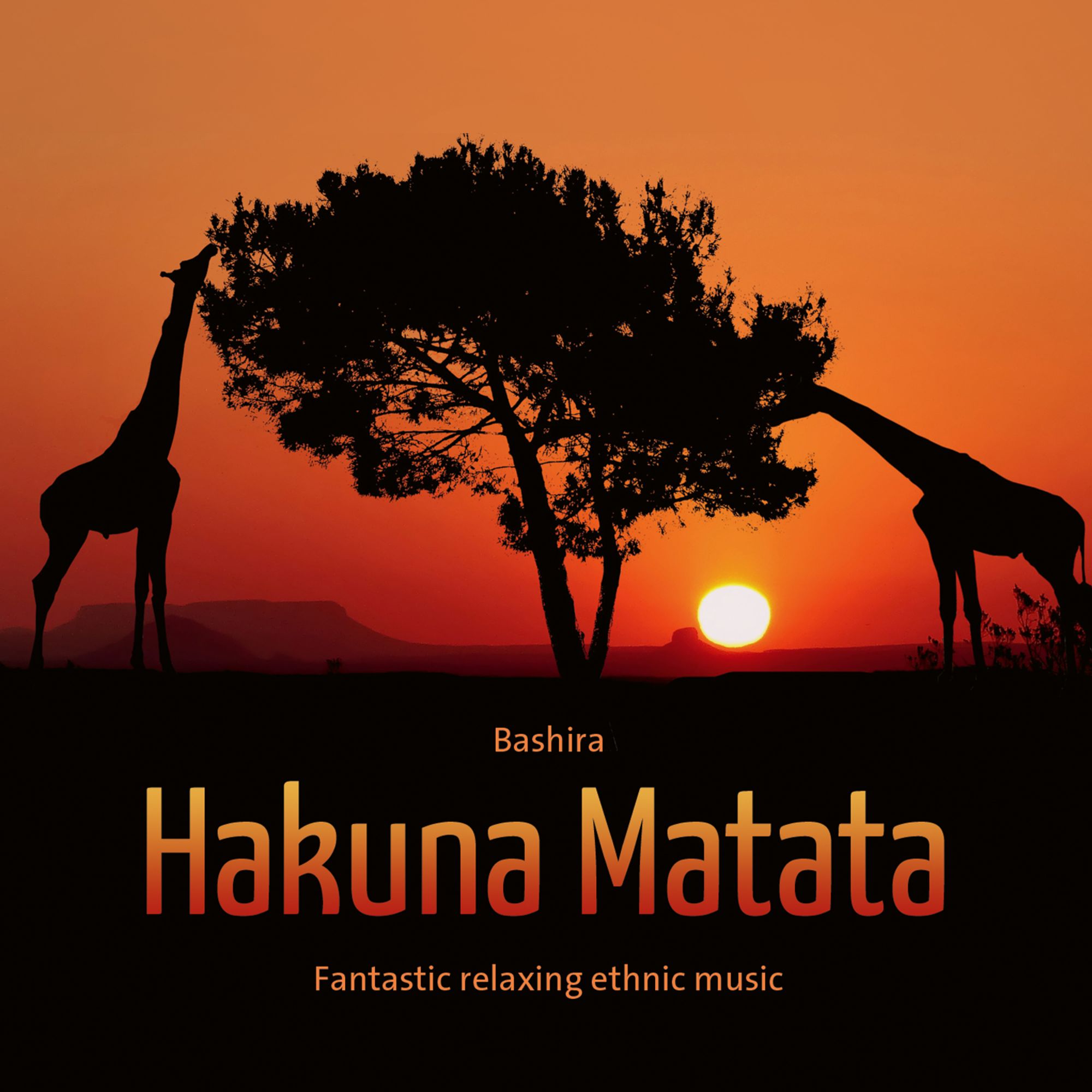 Kleurrijke Hakuna Matata Oneindigheid Hakuna Matata Why Not?! Ihre