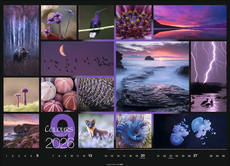 "Colours of Nature Kalender 2026" kaufen