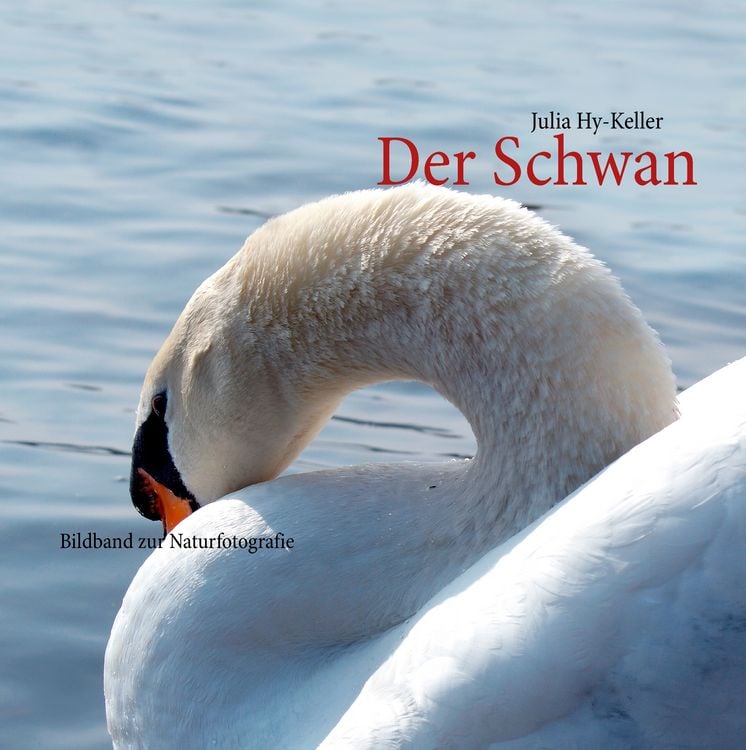"Der Schwan" online kaufen