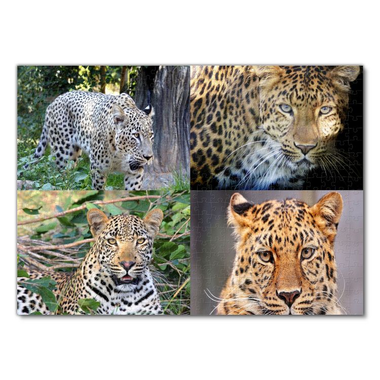 Lais Puzzle Collage Leopard 500 Teile kaufen - Spielwaren | Thalia