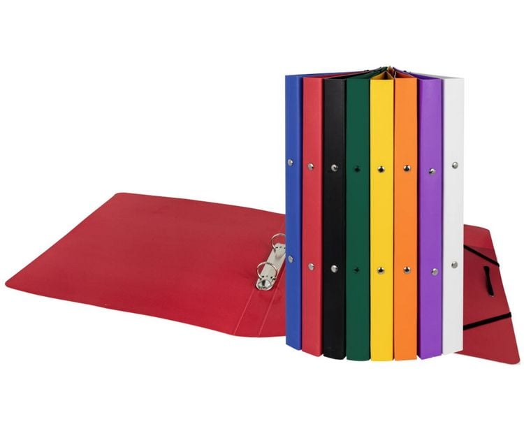 Ringbuch A4 Pappe 2-Ring frb sort kaufen