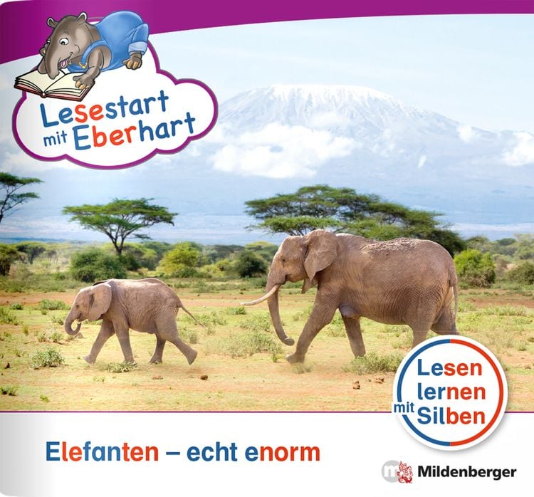 Lesestart mit Eberhart: Eberhart macht einen Film online bestellen