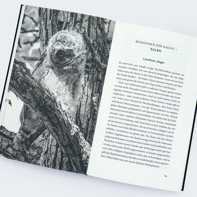 "Lebendige Nacht" online kaufen