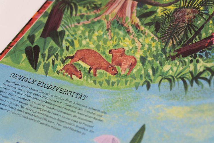 "EVOLUTION. Von der Entstehung des Lebens bis heute" online kaufen