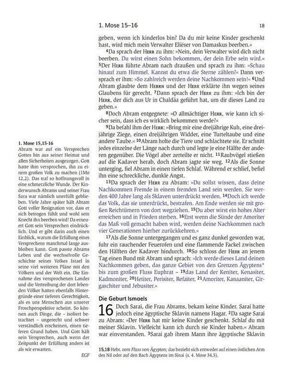 "Das Buch der Versprechen" bei bücher.de bestellen