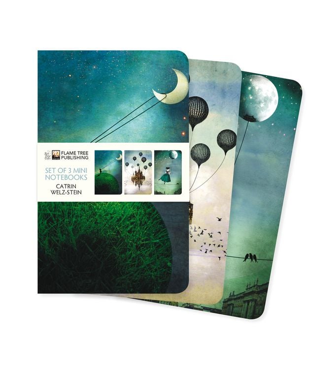 Kate Heiss Set of 3 Mini Notebooks von Flame Tree Publishing - Notizen ...