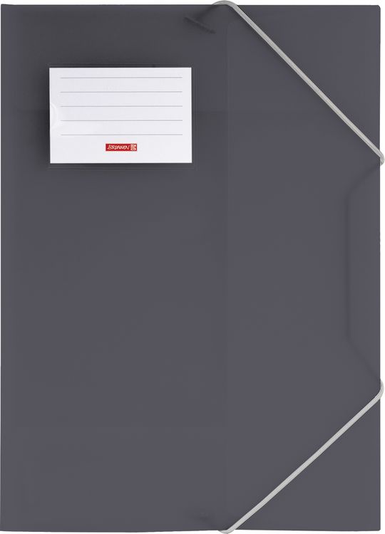 Brunnen Sammelmappe A4 FACT! grau kaufen