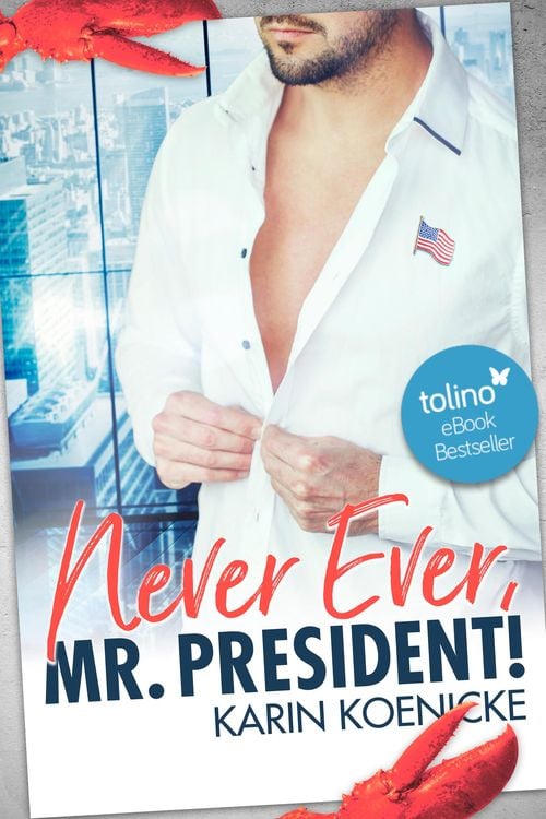 "Never ever, Mr.President!" als eBook kaufen